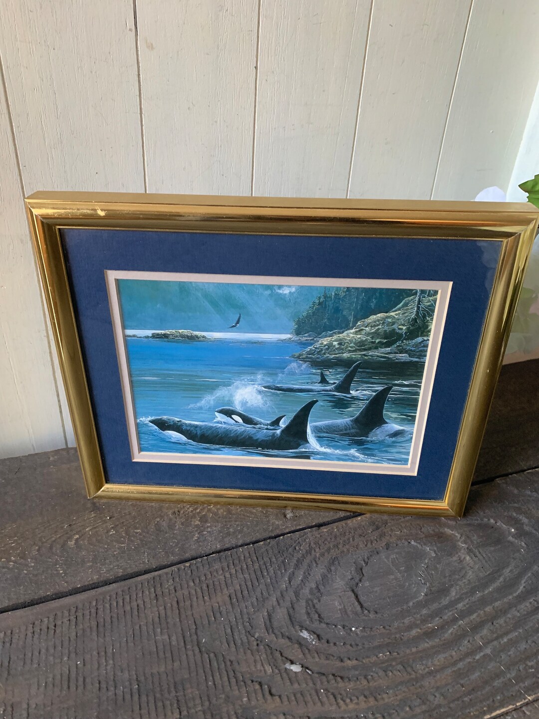 Killer Whales by Lissa Calvert, Orca, Vintage Print, Framed Painting ...
