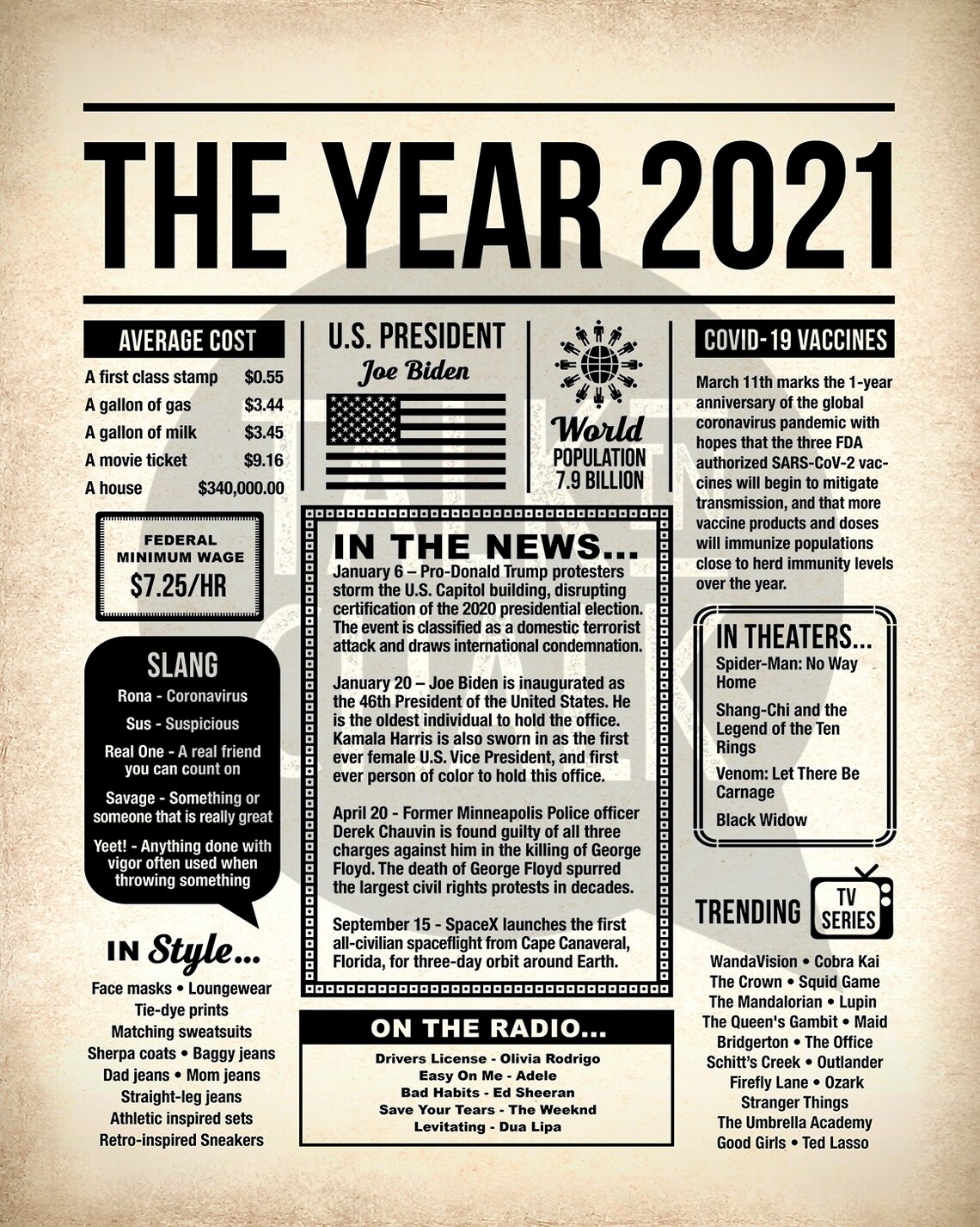 The Year 2021 PRINTABLE 2021 Pandemic Time Capsule Digital - Etsy