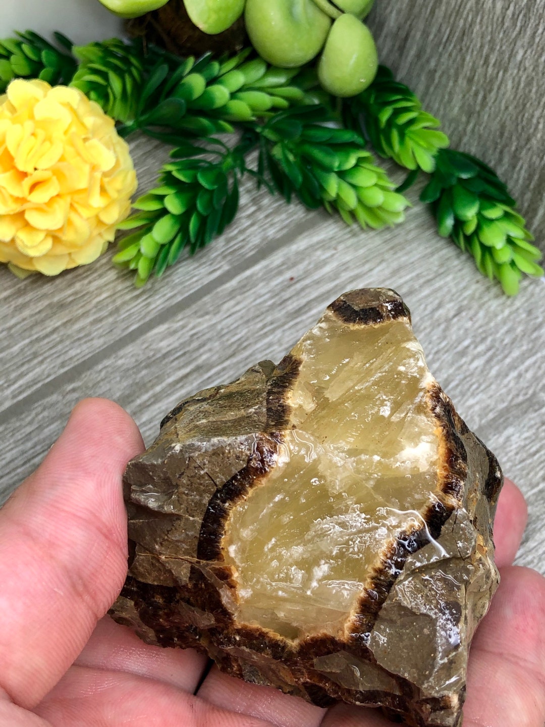 Septarian Natural Raw Stone the Dragon Yellow Septarian Stone Rough ...