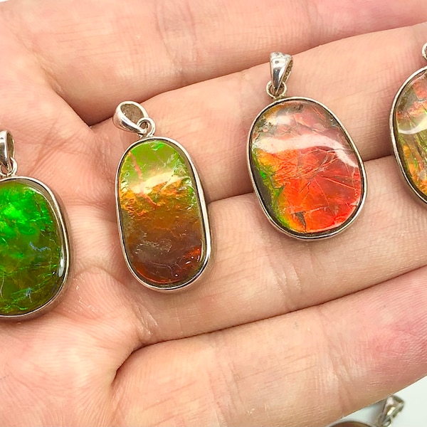 Canadian Ammolite - Etsy