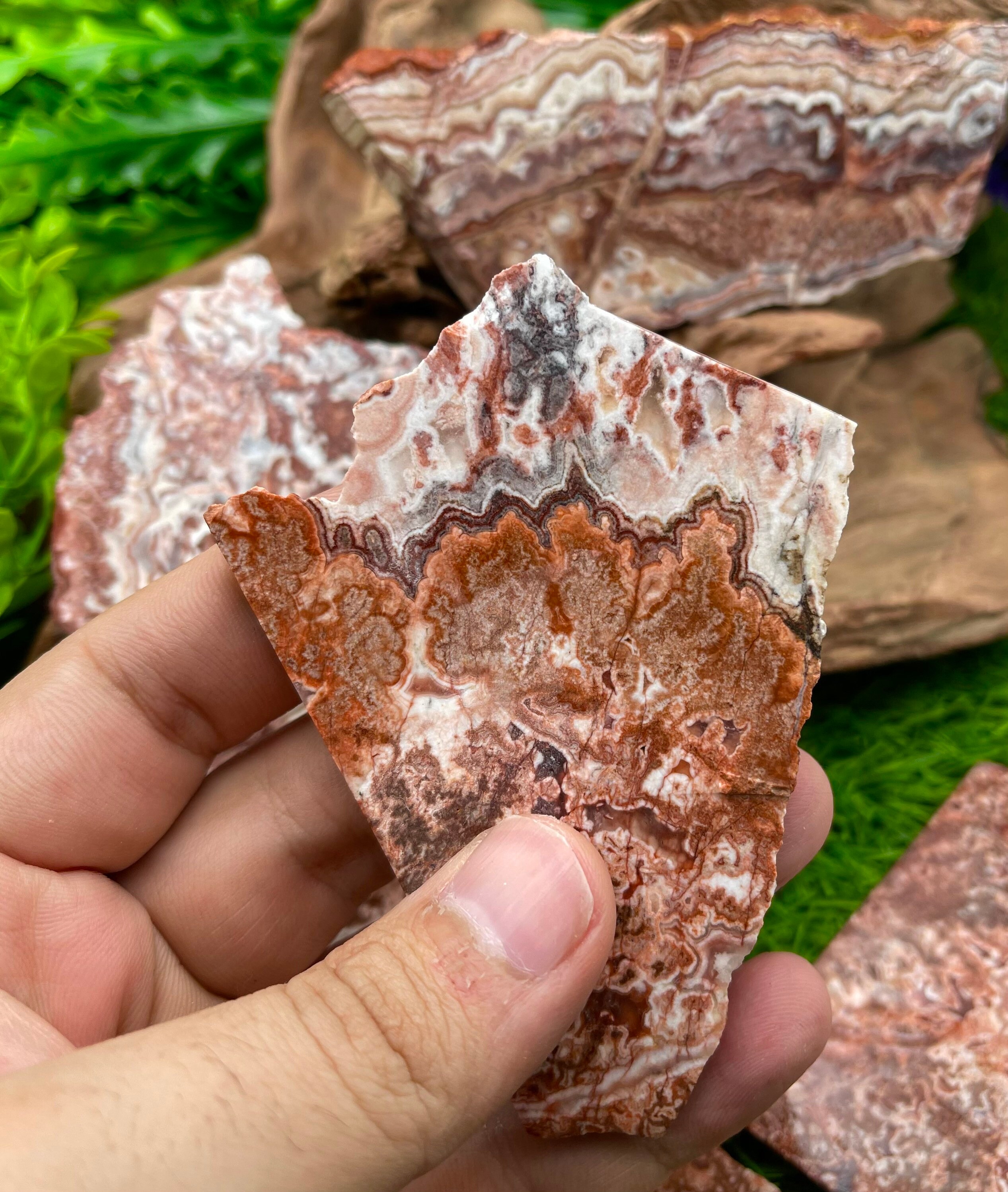 1 Pc Natural Rosetta Jasper Stone Slices for Making Jewelry - Etsy