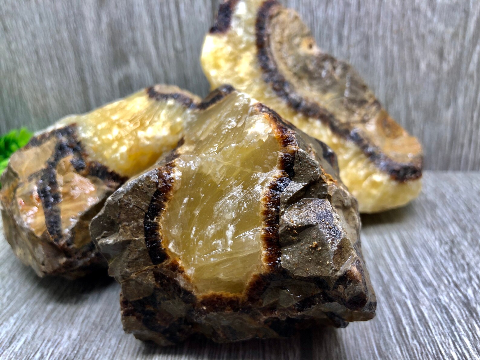 Septarian Natural Raw Stone the Dragon Yellow Septarian Stone Rough ...