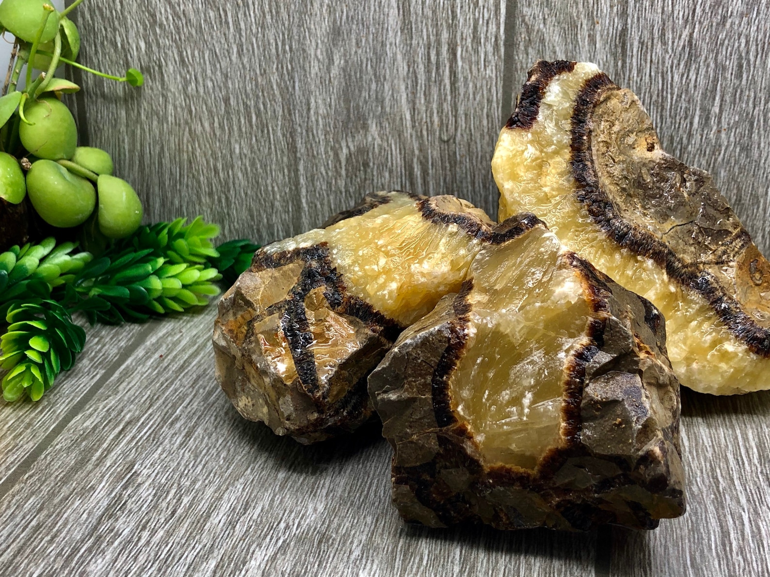 Septarian Natural Raw Stone the Dragon Yellow Septarian Stone Rough ...