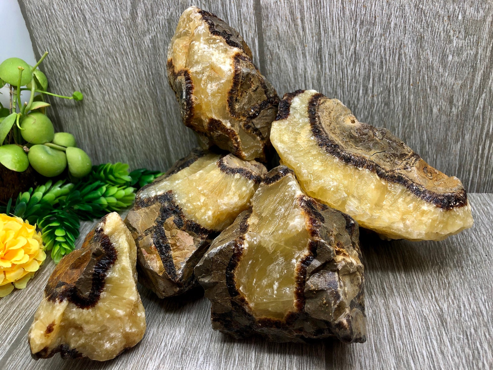 Septarian Natural Raw Stone the Dragon Yellow Septarian Stone Rough ...