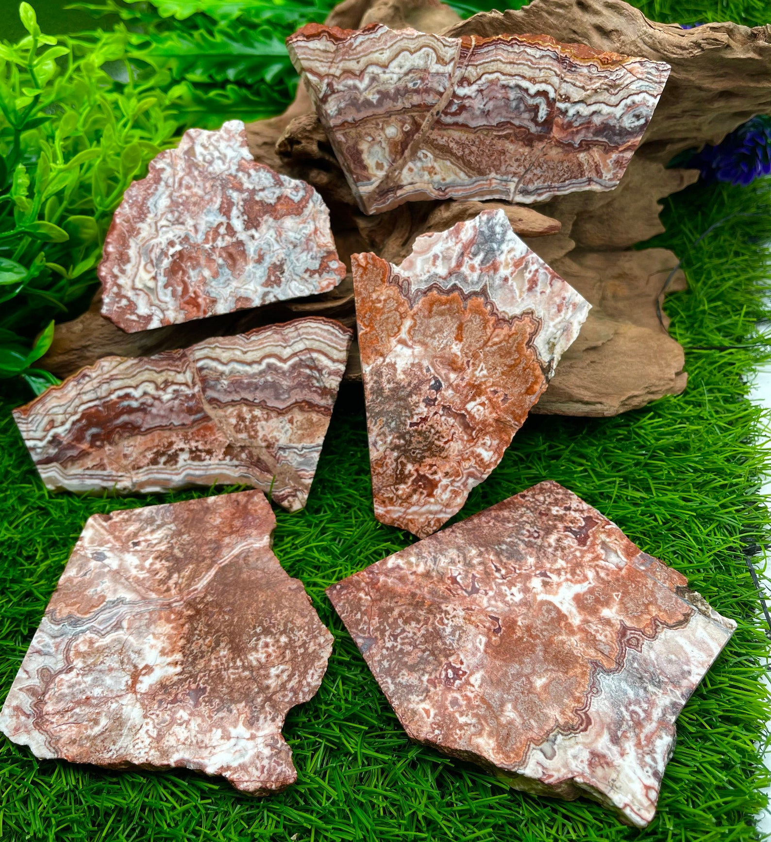 1 Pc Natural Rosetta Jasper Stone Slices for Making Jewelry - Etsy