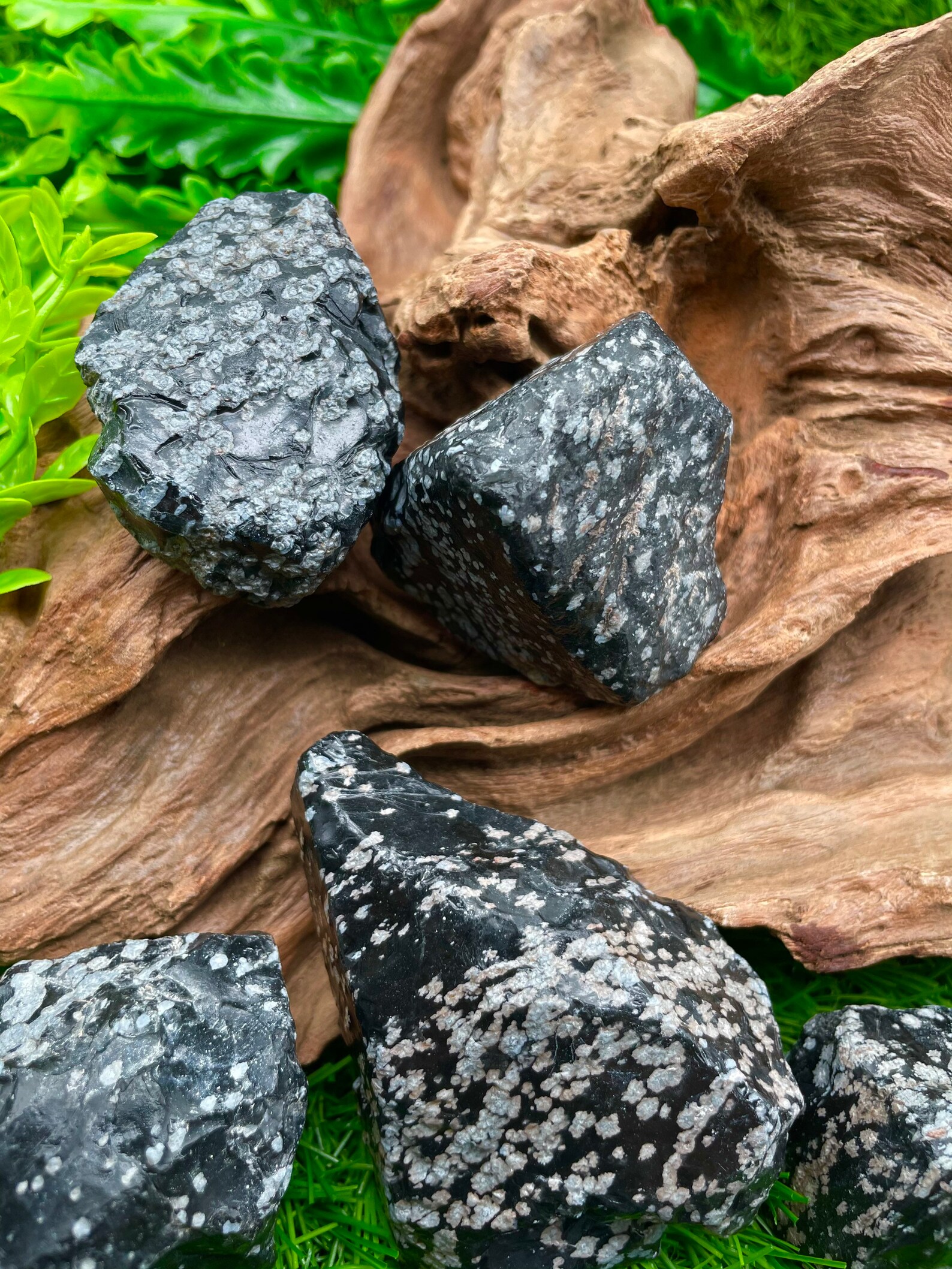 Rough Snow Flake Obsidian Rough Wholesale Prices Black Snow - Etsy