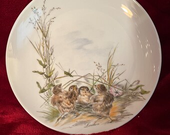 Kaiser Bird Plates - Etsy
