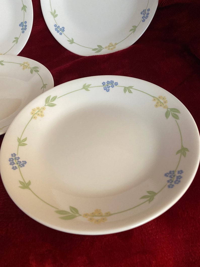 Corelle Secret Garden 7in Plates - Etsy