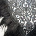 Black Lace Feather Bralette Rhinestone Embellished Top - Etsy