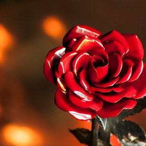 Metal Rose Roses Perfect Handmade Forged Iron Steel Rose Art - Etsy Canada