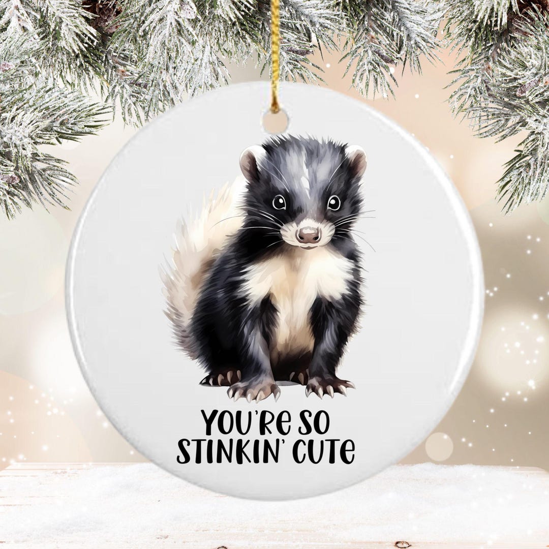You're so Stinking Cute Skunk Ornament Gift Holiday Gifts Daughter ...