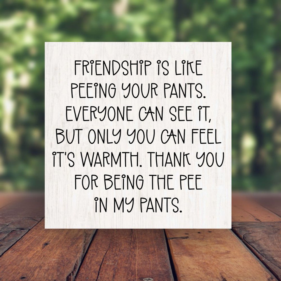 Funny Friend Sign, Gag Gift for Best Friend, Friendship is Like Peeing ...