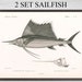 2 Sailfish Prints, Marlin Posters, Vintage Saltwater Game Fish Prints ...