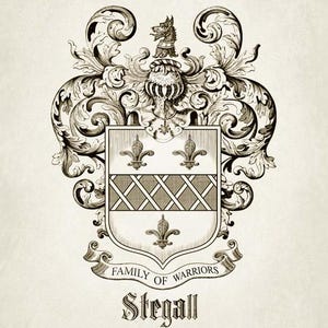 CUSTOM Family Crest-wedding Crest-surname Coat of Arms BIG CREST Home ...