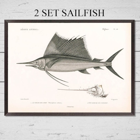 Saltwater Game Fish Art