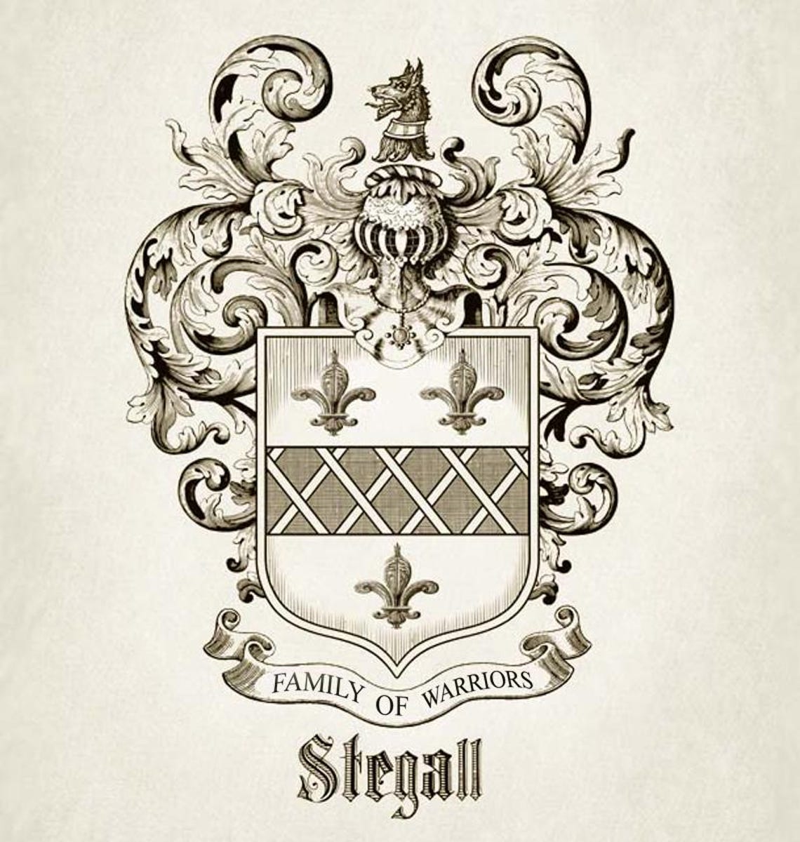 Your Very Own Family Crest Heraldic Coat of Arms Wall Hanging Family ...