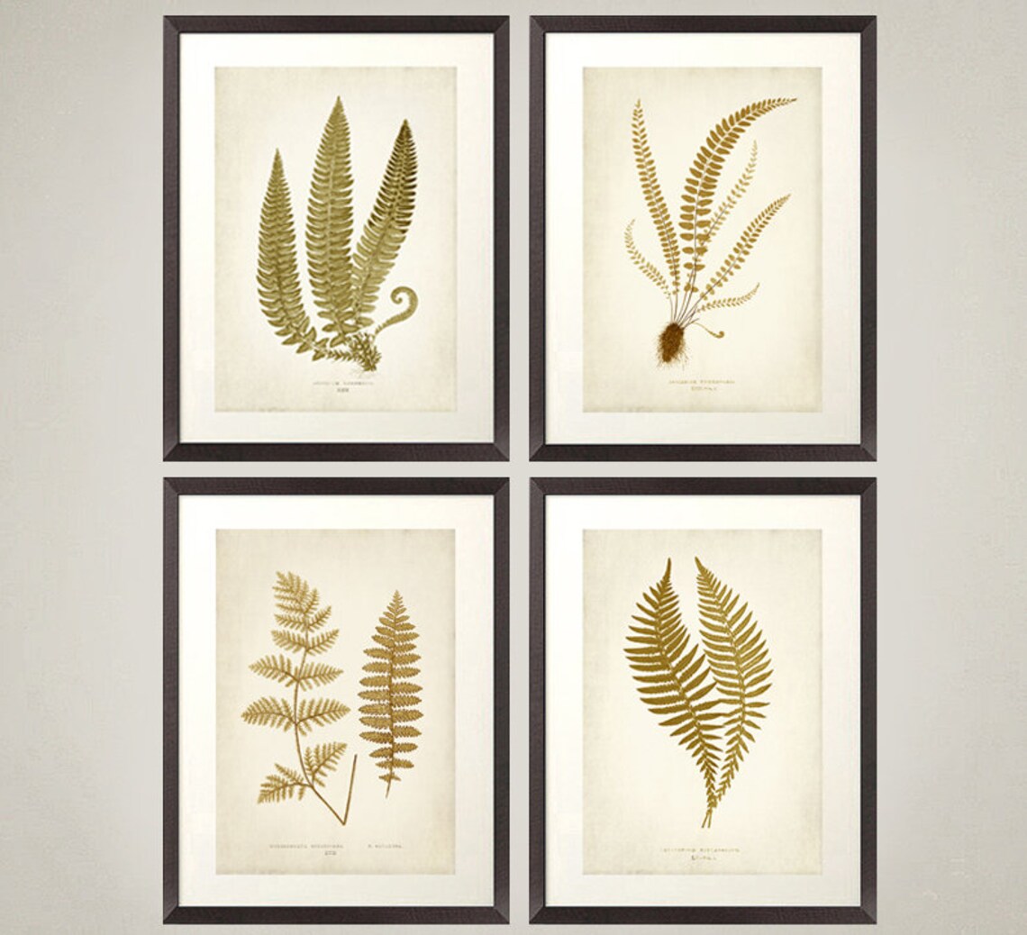 4 Fern Prints Vintage Botanical Prints Wall Decorplant - Etsy