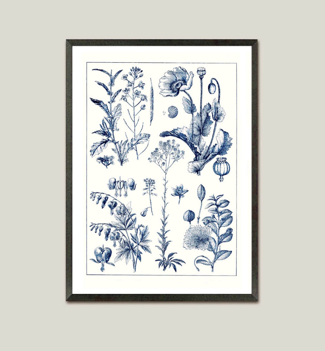 2 Indigo Botanical Prints. Vintage Collection of Plants, Navy Blue ...