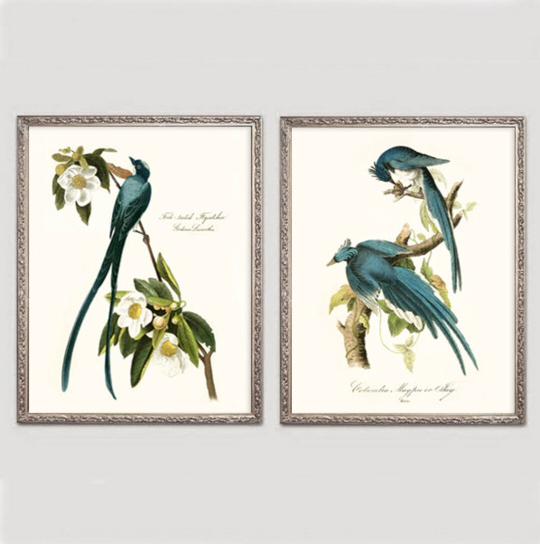 Blue Birds Print Set of 2, Vintage Blue Bird Art Prints, Bird Print Set ...