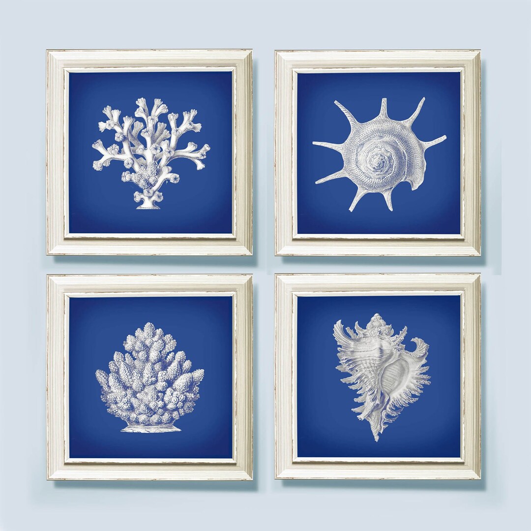 Seashell Print Set, Beach Decor, Coastal Art, Nautical Art, Wall Art ...