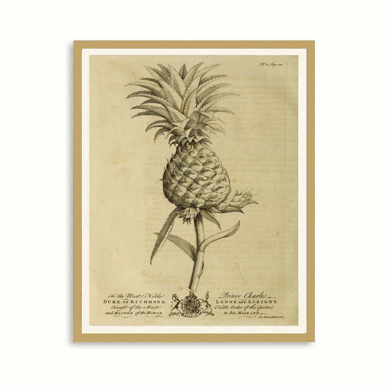 Tropical Botanical Prints 6 Set. Vintage Tropical, Beach Wall Decor ...