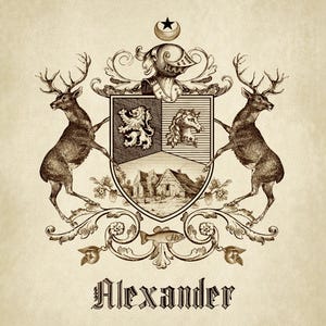 CUSTOM Family Crest-wedding Crest-surname Coat of Arms BIG CREST Home ...