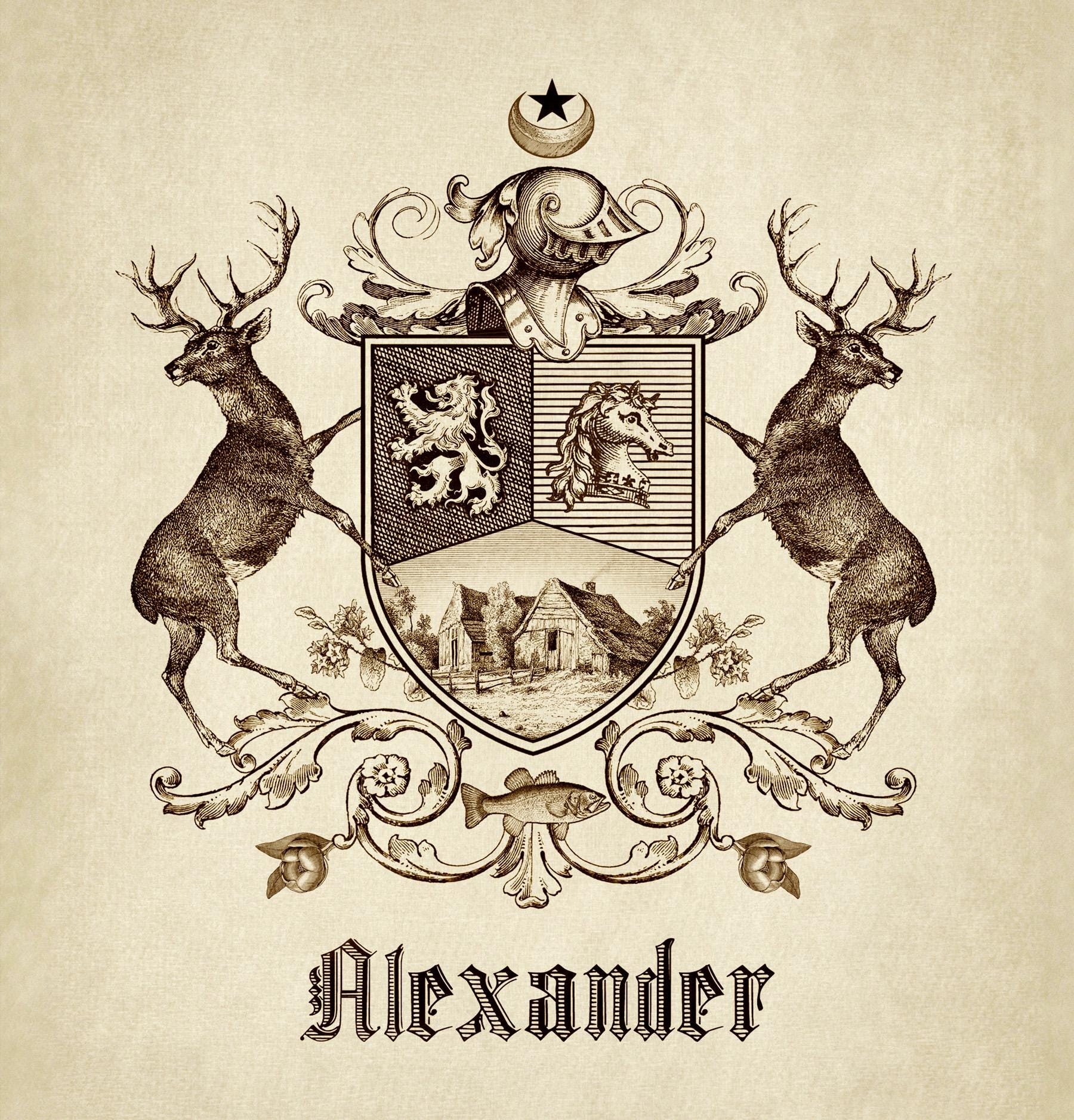 CUSTOM Family Crest-wedding Crest-surname Coat of Arms BIG CREST Home ...