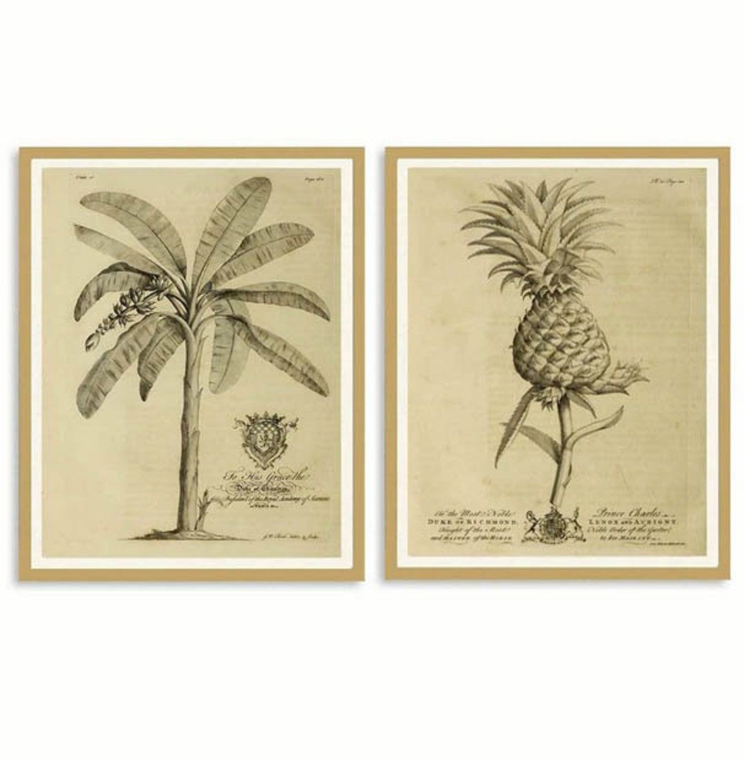 Tropical Botanical Prints 2 Set. Vintage Pineapple, Beach Wall Art ...
