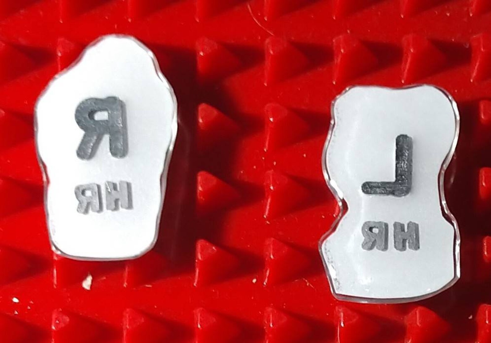 Custom Cactus Lead Letter X-ray Markers With Initials - Etsy