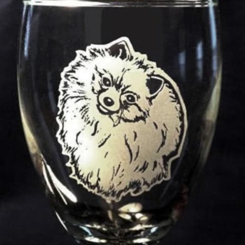 Etched Veterinarian Vet Glass With Levels on Back FREE | Etsy