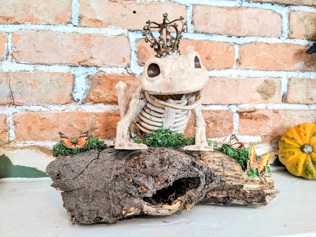 Frog Prince Charming Skeleton Faux Taxidermy on a Log With Butterflies ...