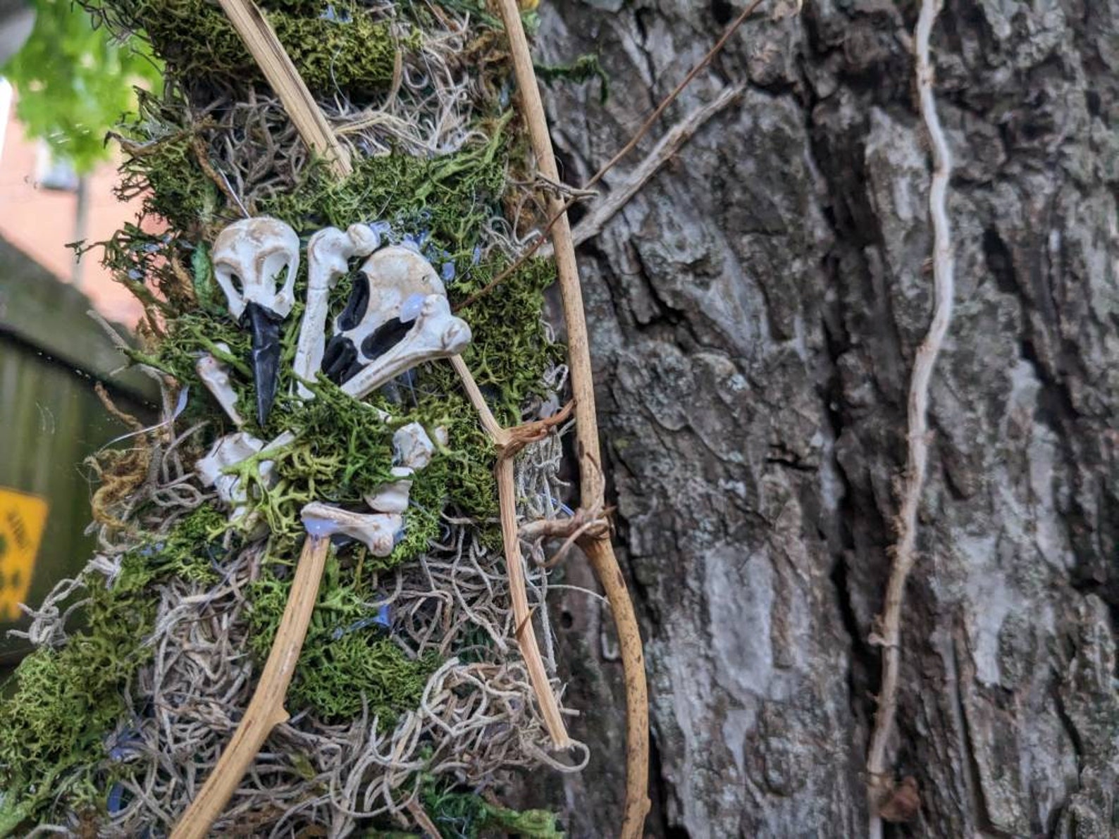 Goblincore Cottagecore Faire Fairy Fae Mirror With Moss Thorny Vine ...