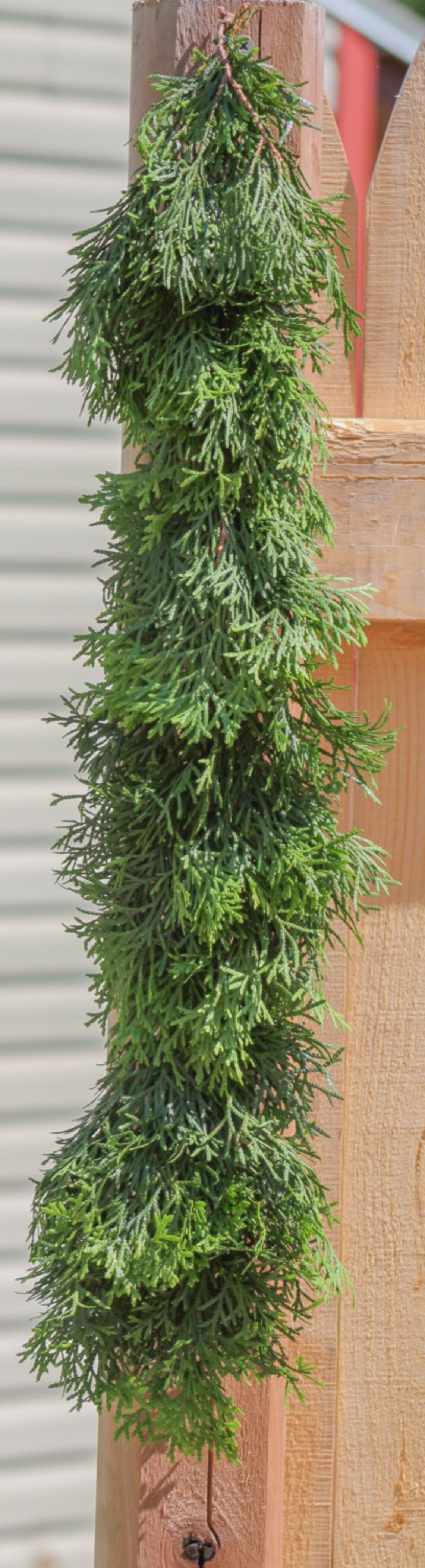 Fresh Cut Cedar Branches DIY Wreath Door Hanger Garland | Etsy