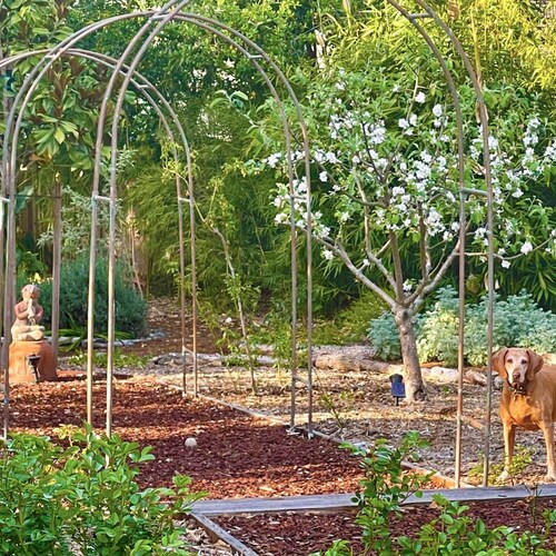 Copper Arch Classic Style - Etsy