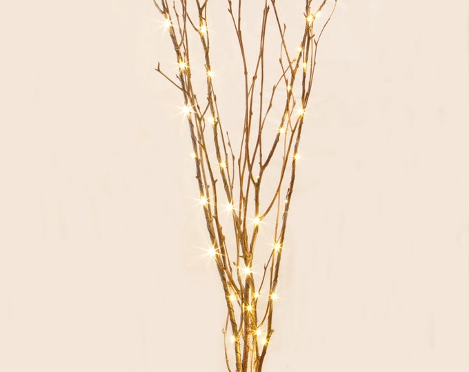 LED Lighted Natural Birch Branches - Etsy