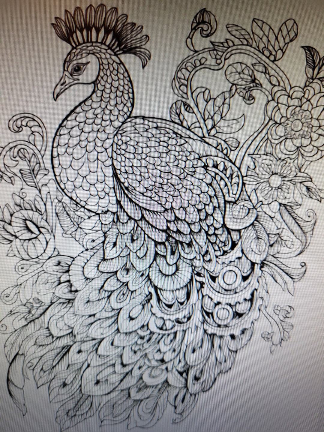 Animal Patterns Coloring Pages - Etsy