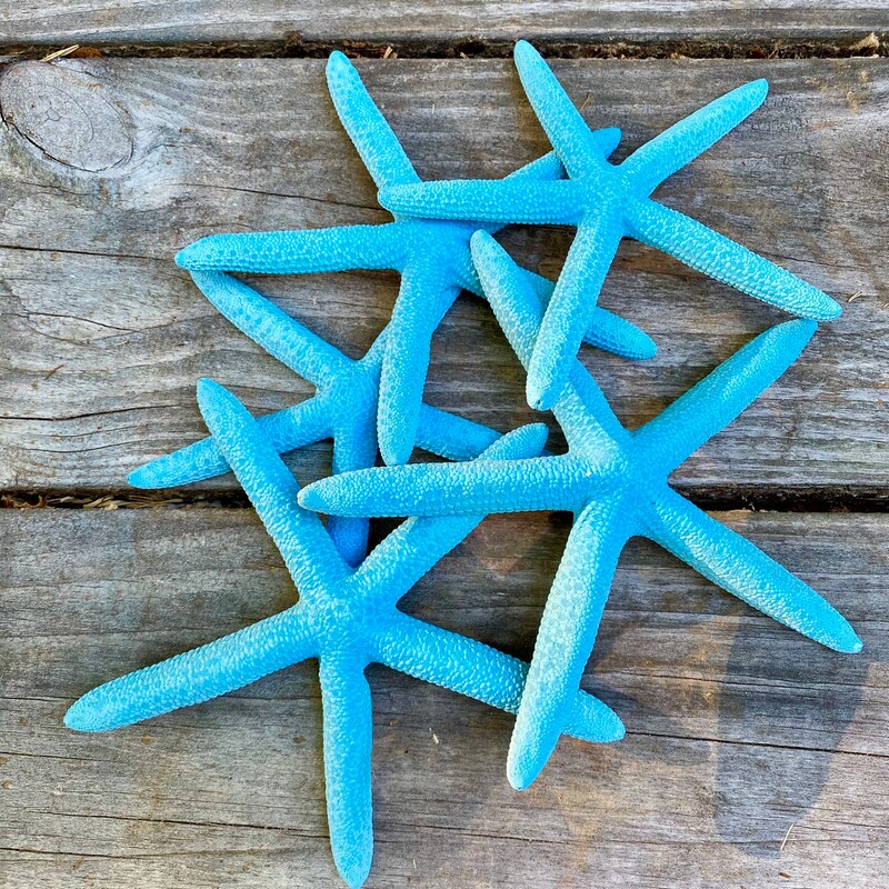 Starfish Home Decor - Etsy