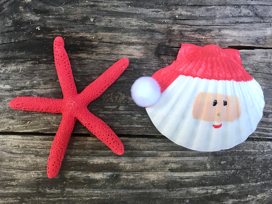 Santa Sea Shell, Starfish Sea Shells, Christmas at the Beach, Coastal ...