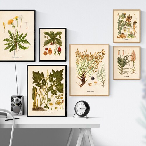 Six FRAMED Wildflower Vintage Prints Cottagecore Decor - Etsy