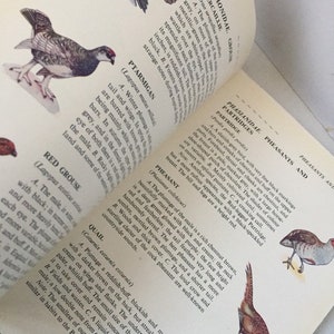 1952 Birds and Wild Animals Incl Marine Mammals Vintage Hardback BOOK H ...