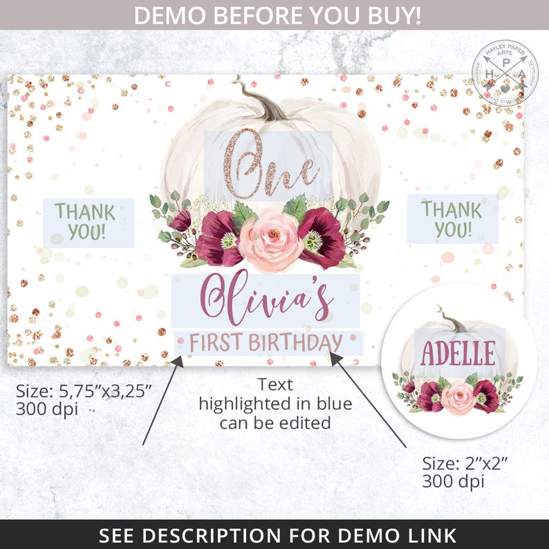 MEGA BUNDLE Pumpkin ONE Birthday Party Pack Chips Bags - Etsy