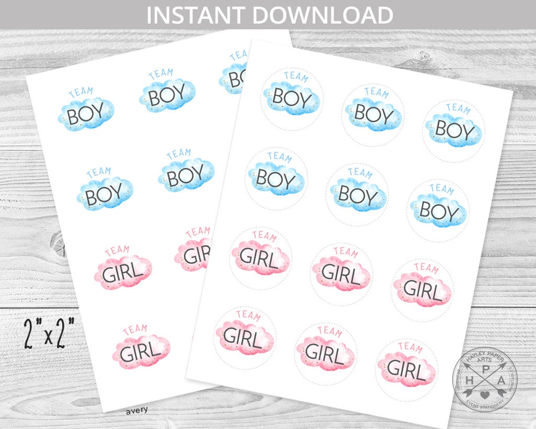 Gender Reveal Voting Stickers Twinkle Little Star Baby Shower He or She ...