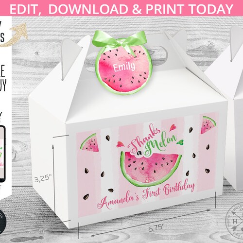 EDITABLE Watermelon Bottle Labels One in a Melon First Girl - Etsy