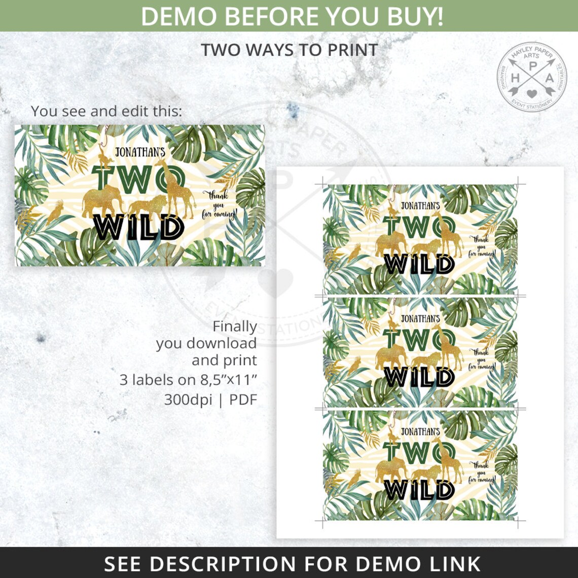 Two Wild Jungle Gift Gable Box Labels, Guest Name Tags. Birthday Handle ...