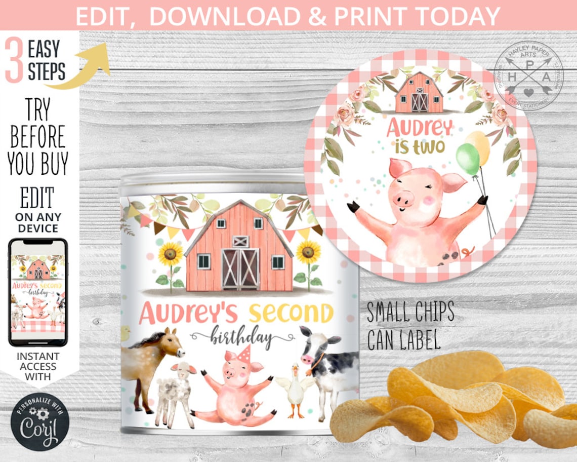 Farm Chips Can Label Pink Barn Mini Can Tube Barnyard Birthday ...