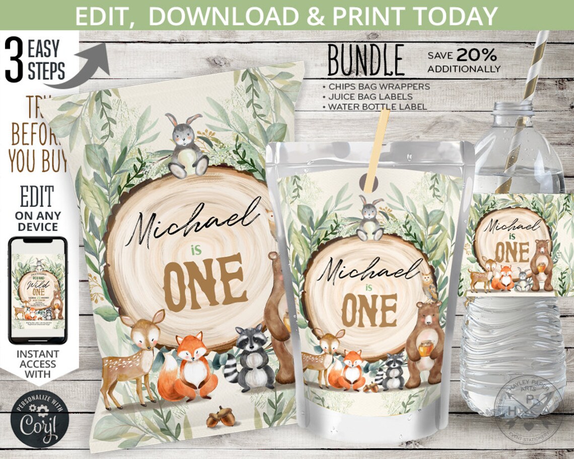 BUNDLE Woodland Animals Chips Bag, Juice Bags, Water Bottle Labels ...