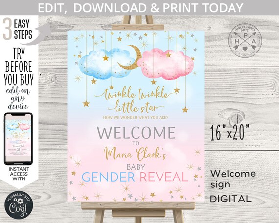 Twinkle twinkle little star welcome sign he or she gender reveal baby ...