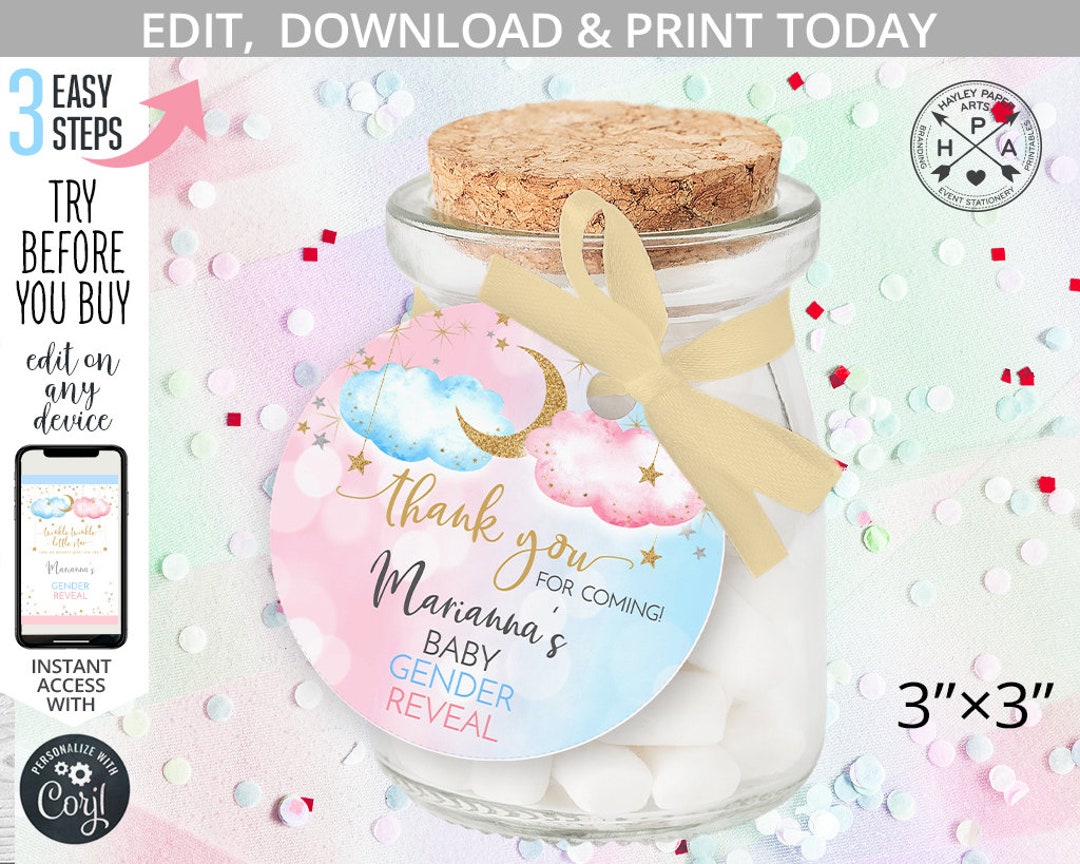 Twinkle Twinkle Little Star Tag Gender Reveal Baby Shower Favor Tag ...