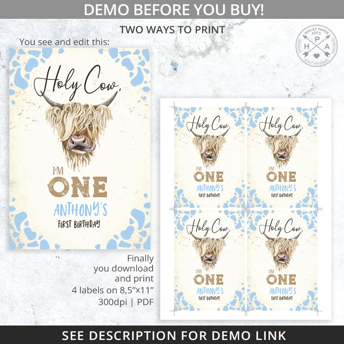 BUNDLE Holy Cow I'm ONE Highland Cow Chips Bag Wrapper, Juice Bag ...