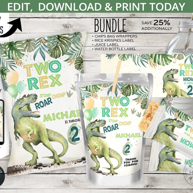 Dinosaur Custom Chip Bag - Etsy
